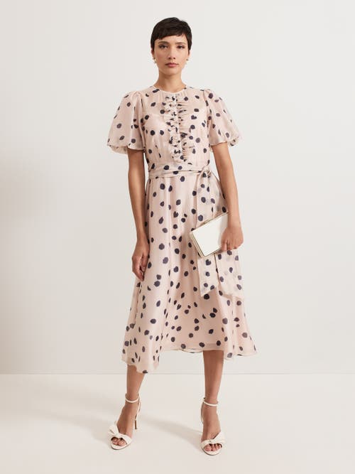 PHASE EIGHT Phase Eight Nicola Ruffle-Front Midi Dress